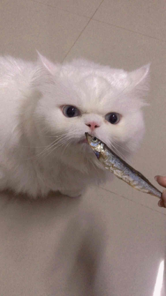 娃娃兒's page｜MixerBox OnePlayer