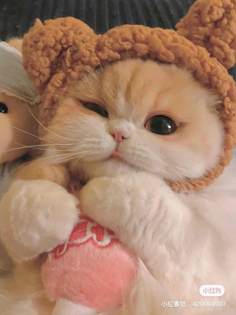 HUANG_'s page｜MixerBox OnePlayer